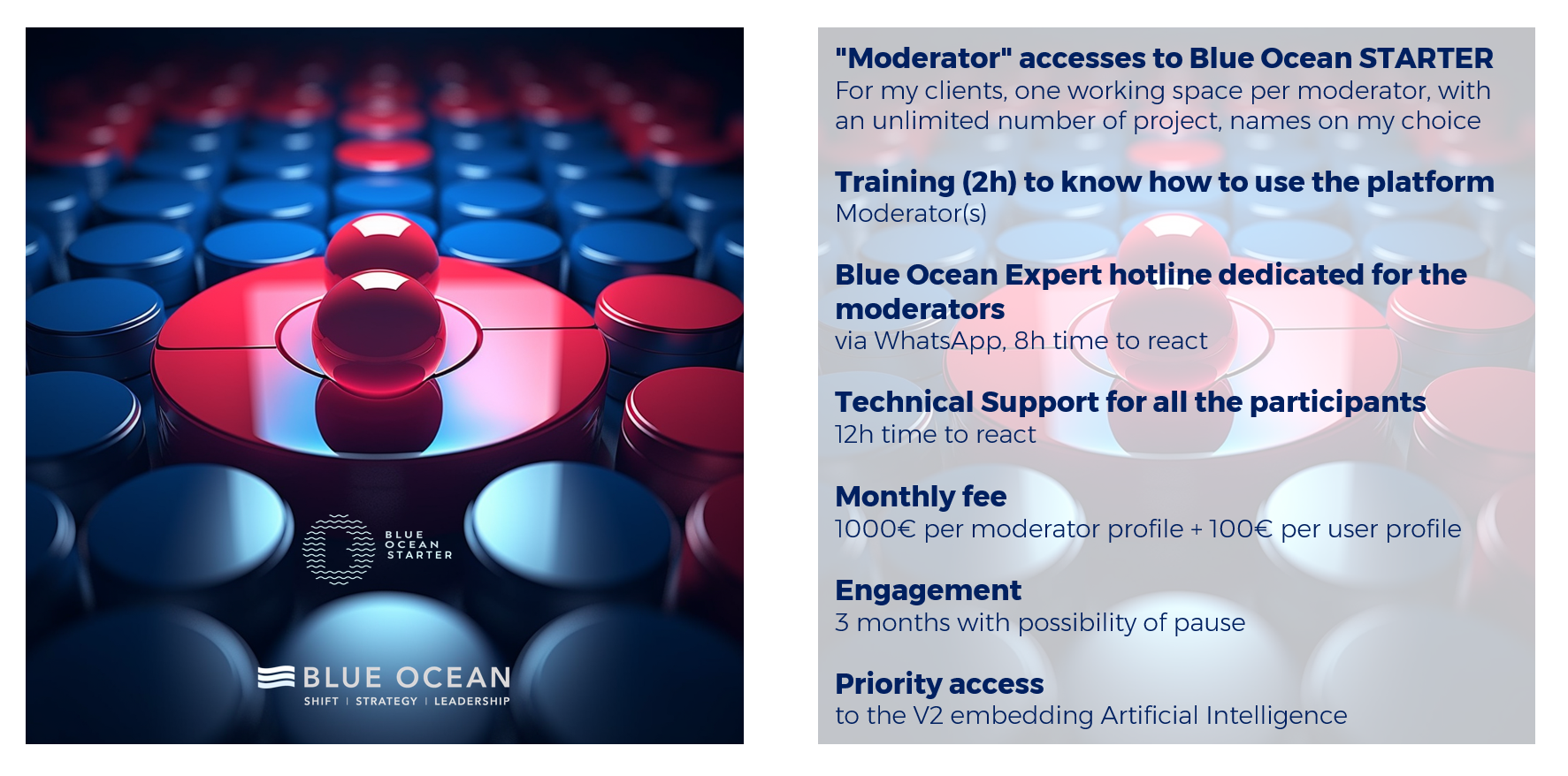 Blue Ocean STARTER 2024 | Blue Ocean Strategy Awards